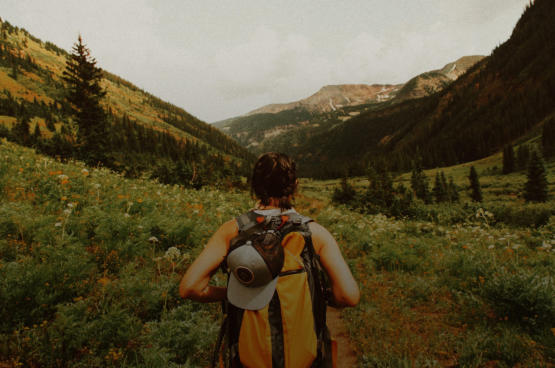 hero-bg - Thornton Tomasetti Corporate Responsibility Report