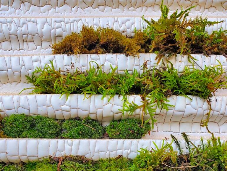 Sustainable Façades Get Greener